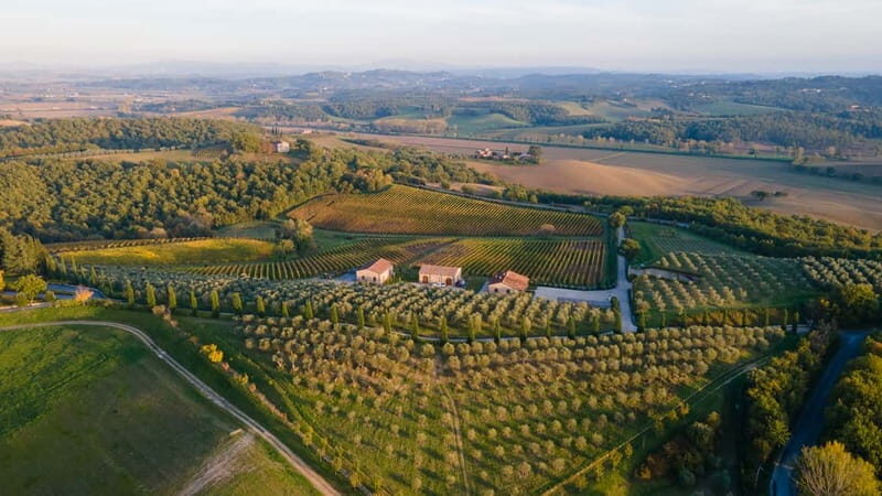 Chianciano Terme: Guided Winery Tour & Wine Tasting - The Guided Tour: Personal and Informative