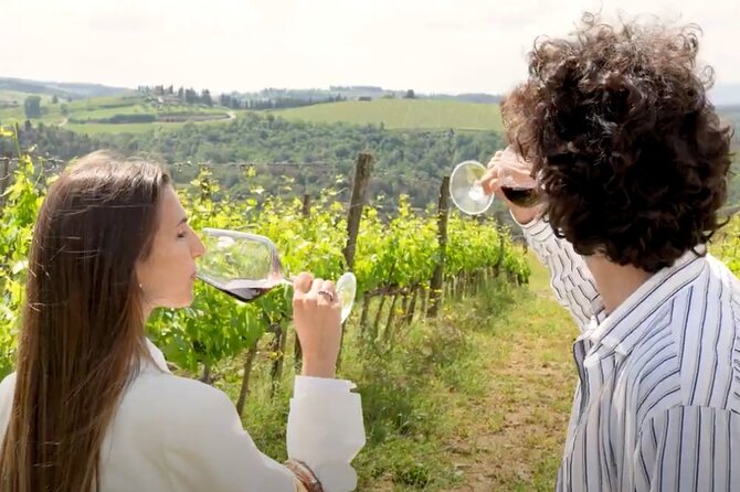 Chianti and Castle Small Group Tour from Siena with Wine Tasting - Introduction