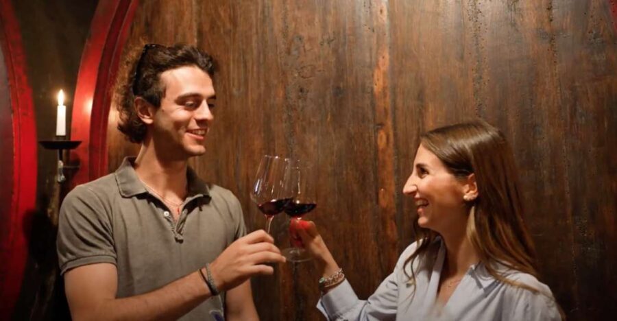 Chianti and Castles Tour From San Gimignano - What We Love About This Tour
