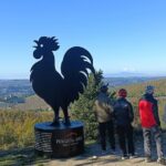 Chianti e-bike tour from Florence with wine tasting - Discovering the Heart of Chianti on Two Wheels