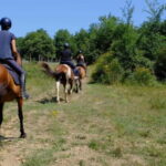 Chianti: Horseback Riding Through Vineyards and Woods - Detailed Itinerary Breakdown