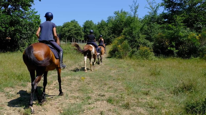 Chianti: Horseback Riding Through Vineyards and Woods - Detailed Itinerary Breakdown