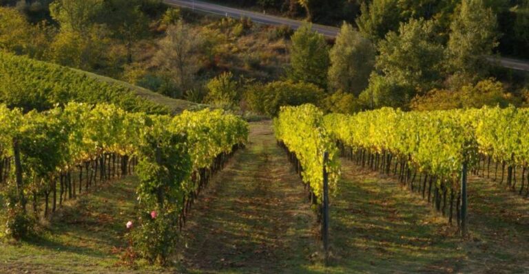 Chianti, Siena, S. Gimignano & Wine Tasting Private Tour - Practical Considerations