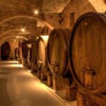 Chianti, SuperTuscan & San Gimignano - 2 wineries and light lunch - Authentic Tuscan Charm in San Gimignano and Wineries