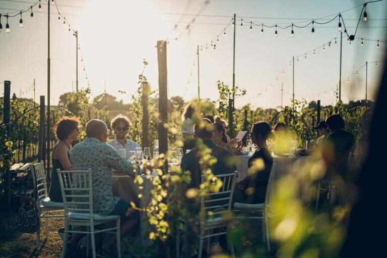 Chianti: Tuscan Vineyard Dinner with Wine Tasting - Practical Details and Value