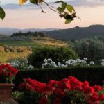 Chianti: Vineyard to Bottle Winery Visit with Tastings - Who Will Love This Tour?