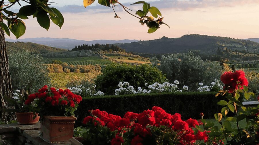 Chianti: Vineyard to Bottle Winery Visit with Tastings - Who Will Love This Tour?