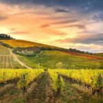 Chianti Wine Helipanoramic Flight Tour - In-Depth Look at Each Part of the Tour