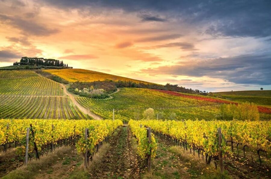 Chianti Wine Helipanoramic Flight Tour - In-Depth Look at Each Part of the Tour