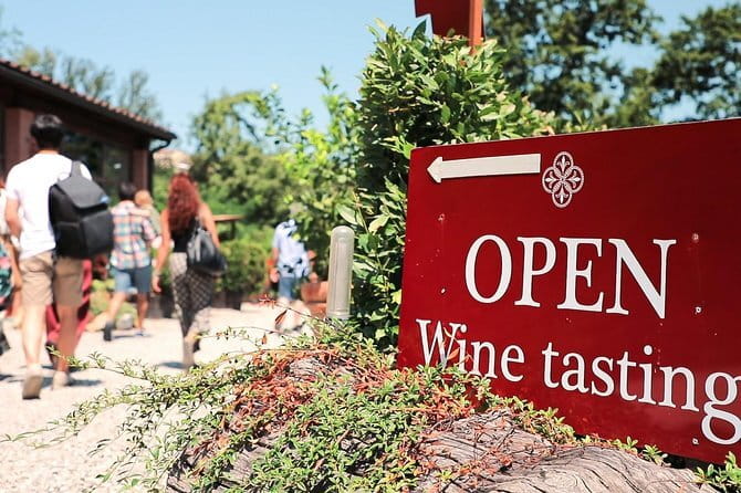Chianti Wine Tour: Two Wine Tastings, Vineyards and Cellar Visit - Introduction