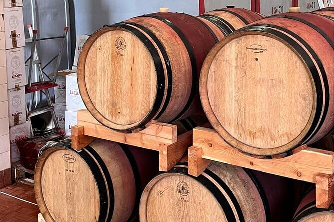 Chianti Winery + Brolio Castle Private Tour - An Authentic Day in the Heart of Chianti: Our Review of the Private Winery & Brolio Castle Tour