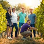 Chinon : Prestige Tours and Wine Tasting - The Tasting Experience