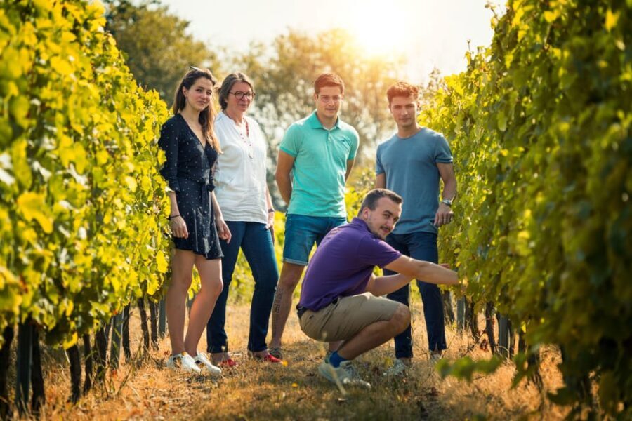 Chinon : Prestige Tours and Wine Tasting - The Tasting Experience