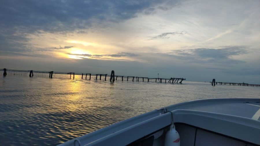 Chioggia: discover aquaculture techniques in a typical boat - Authentic Insights from Past Visitors