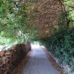 Chios: Kampos Private Walking Tour - Who Is This Tour Best For?