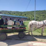 Chisinau: Cricova Wine tour &Old Orhei Archeological Complex - FAQs
