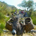 Cilento: discovering the art of broom spinning in Tortorella - How the Tour Works: Practical Details