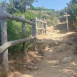 Cinque Terre from Riomaggiore to Manarola and vineyards - A Closer Look at the Experience