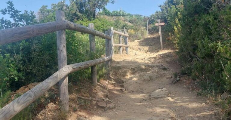 Cinque Terre from Riomaggiore to Manarola and vineyards - A Closer Look at the Experience