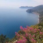 Cinque Terre Villages Walking panoramic tour - The Experience Itself: What to Expect