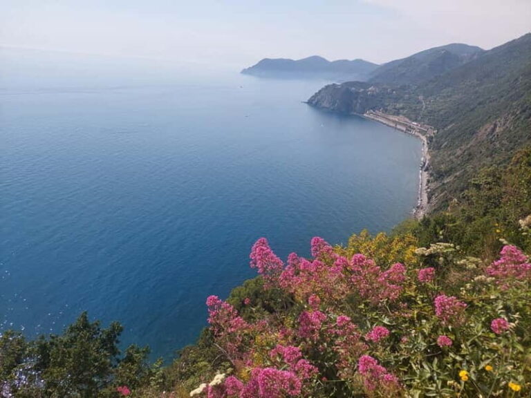 Cinque Terre Villages Walking panoramic tour - The Experience Itself: What to Expect