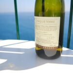 Cinque Terre Wine Tasting and Boat Trip - A Closer Look at the Itinerary and Experience