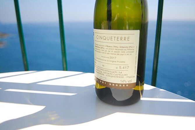 Cinque Terre Wine Tasting and Boat Trip - A Closer Look at the Itinerary and Experience