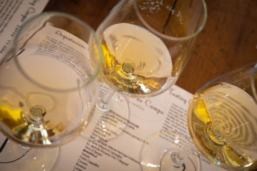 Cinque Terre: Wine Tasting and Walking Tour - What Travelers Say