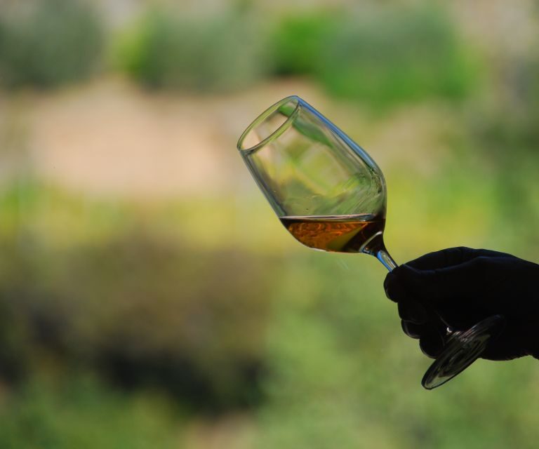 Cinque Terre: Wine Tasting in Monterosso - Who Should Consider This Tour?