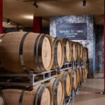Cioccaie Tour & Monovarietal Wines Tasting - The Value and Practicalities