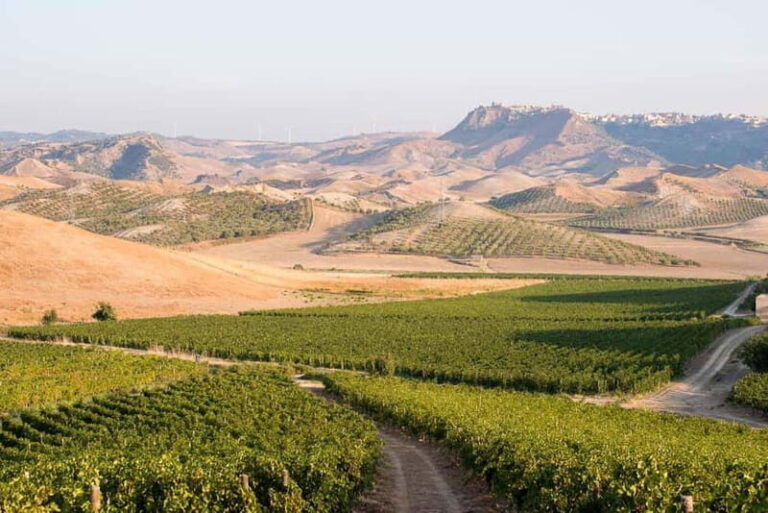 Cirò Marina: winery tour with tasting - Final Impressions and Who Should Consider This Tour