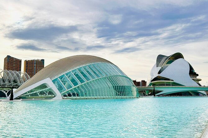City of Arts & Sciences Tour with Rooftop Tapas & Wine - Key Points