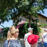 City of Side: Sapadere Canyon & Alanya Tour with Lunch - The Beauty of Sapadere Canyon: A Natural Masterpiece