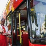 City Sightseeing Stavanger Hop-On Hop-Off Bus Tour - Who Is This Tour Best For?