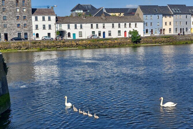 Claddagh Guided Walking Tour in Galway with Free Claddagh Ring - A Detailed Look at the Claddagh Guided Walking Tour