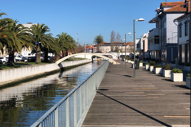Classic Aveiro City Tour by Bike - An Introduction to the Aveiro Bike Tour Experience