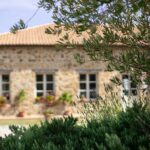 Classic Wine Tasting in Montalcino - The Value and Pricing