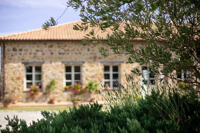 Classic Wine Tasting in Montalcino - The Value and Pricing