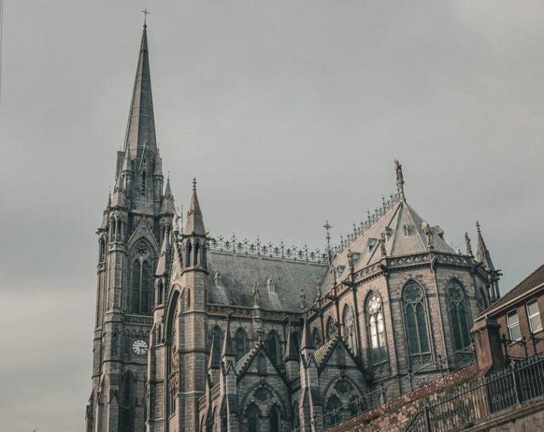 Cobh/Cork: Blarney Castle, Kinsale & Cork City Shore Tour - Why Choose This Tour?