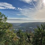 Cochem, Moselle: Wine experience hike with boat - Why We Love This Tour—and Why You Might Too