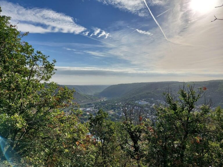 Cochem, Moselle: Wine experience hike with boat - Why We Love This Tour—and Why You Might Too