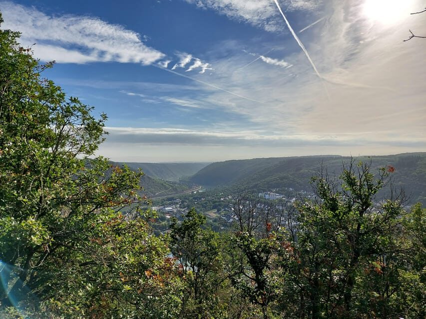 Cochem, Moselle: Wine experience hike with boat - Why We Love This Tour—and Why You Might Too