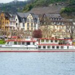 Cochem: Panoramic Cruise on the Moselle River - The Authentic Charm of the Town and Surroundings