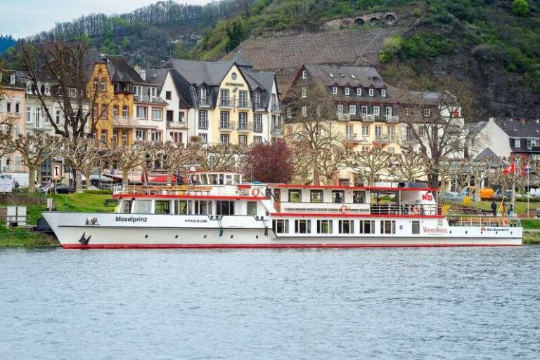 Cochem: Panoramic Cruise on the Moselle River - The Authentic Charm of the Town and Surroundings
