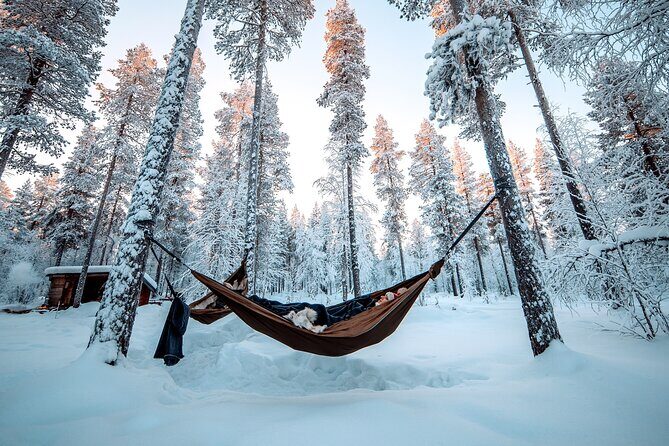 Cocooning in the HaliPuu forest: The ultimate Arctic hammock relaxation - The Practical Details