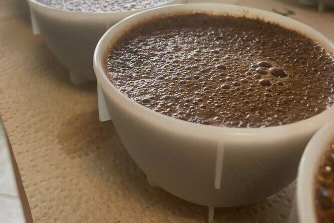 Coffee Sensory Training in Ljubljana - A Closer Look at the Coffee Sensory Training Experience