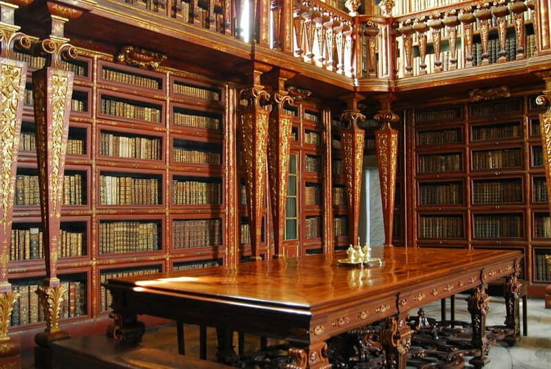 Coimbra & Aveiro Private Tour  Customizable Experience - The Value of Customization and Quality