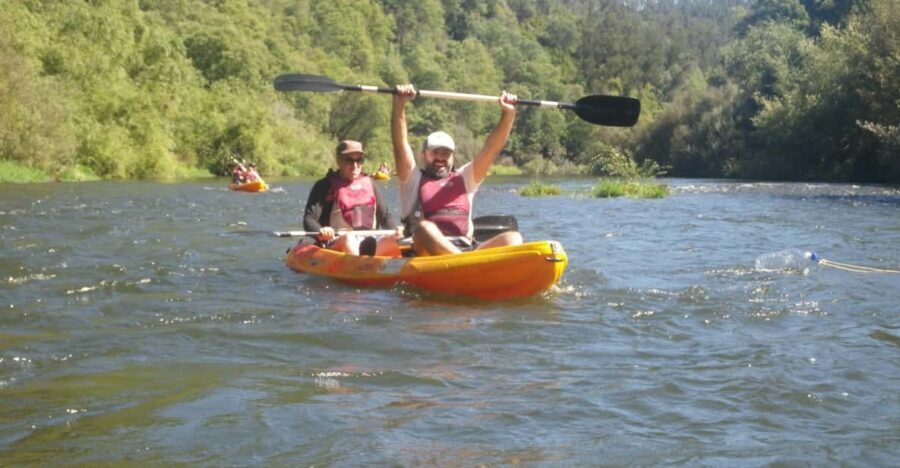 Coimbra: Kayak Descent on the Mondego River - Practical Details and What to Expect
