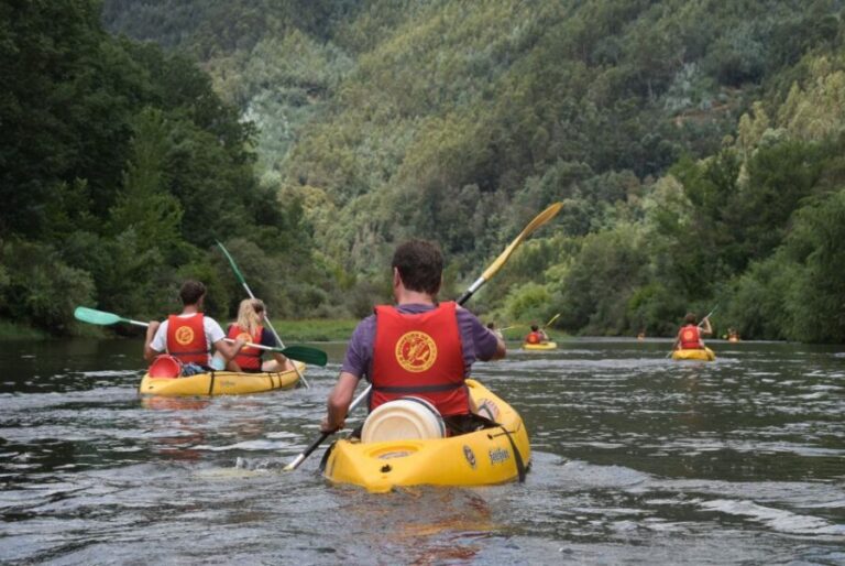 Coimbra: Mondego River Kayaking Tour - Detailed Breakdown of the Itinerary