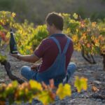 Coimbra: Prior Lucas Wine Experience - The Value of the Experience